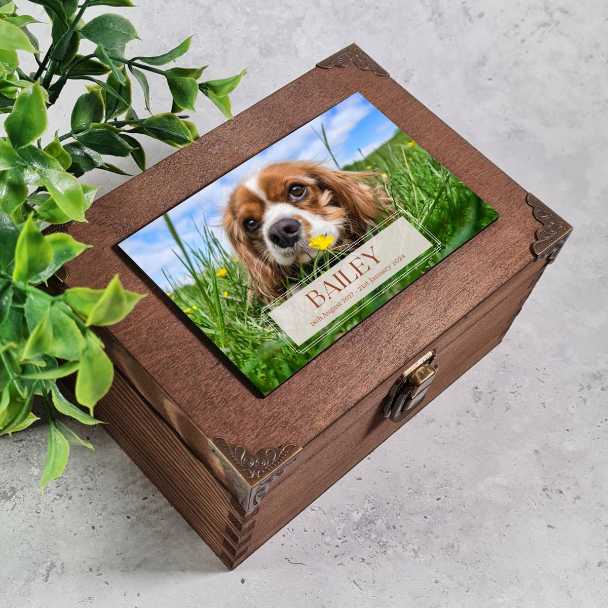 Memorial for a Pet – Dog Remembrance Plaque Keepsake Box with Photo ...