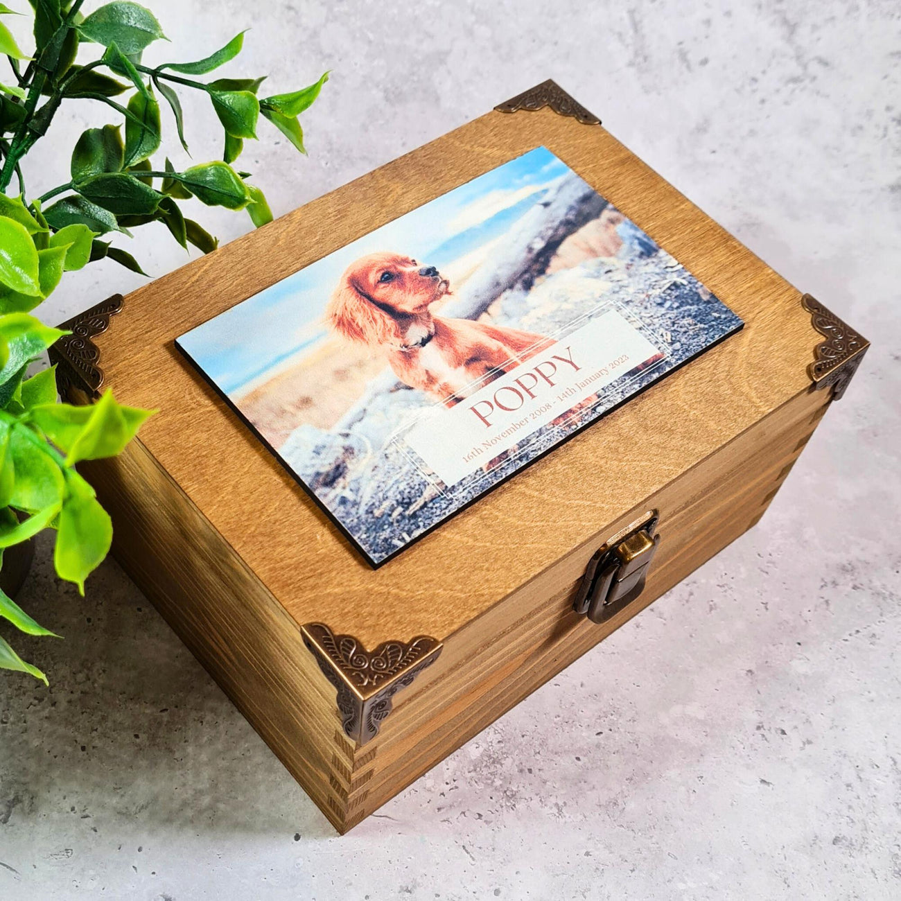Personalised Pet Memorial Box I Custom Pet Dog Cat Ashes Keepsake Box ...